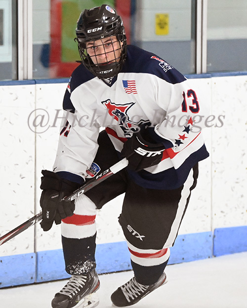 Max Nagel - Elite Prospects