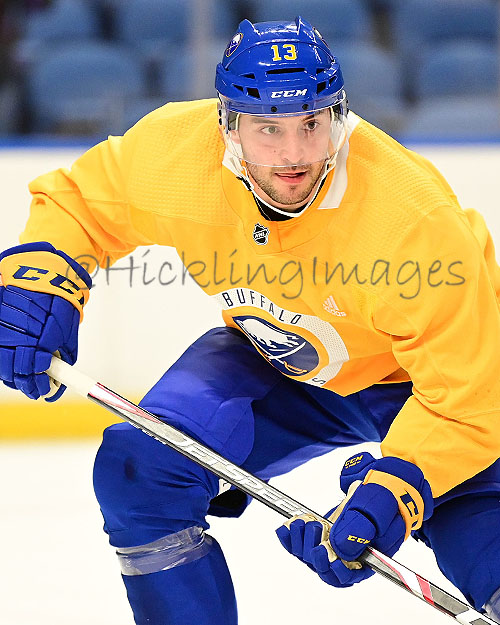 Tobias Rieder - Elite Prospects