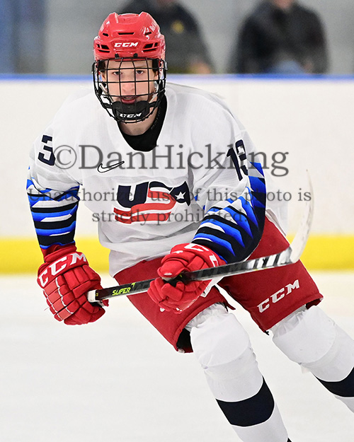 Michael Risteau - Elite Prospects