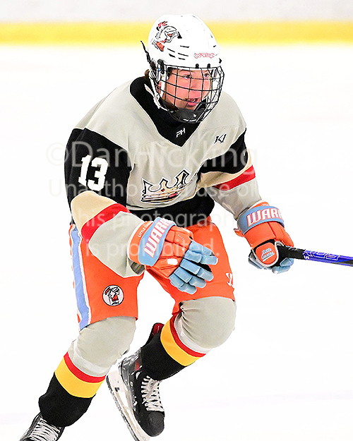 Xander Wilson - Stats, Contract, Salary & More