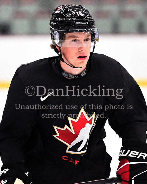 Nate Danielson - Elite Prospects