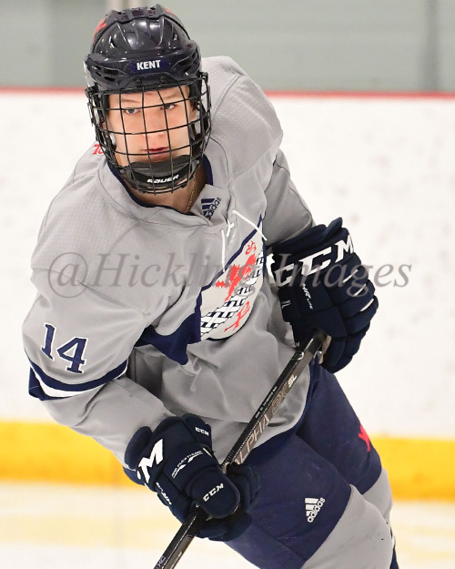 Phil Feinberg - Elite Prospects