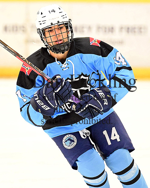 Justin Fernandez - Stats, Contract, Salary & More