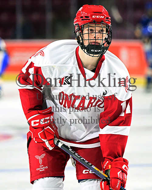 Chase Hull - Stats & Facts - Elite Prospects