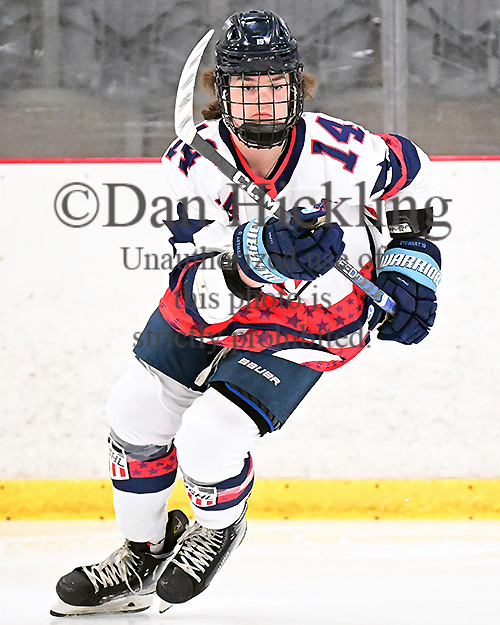 Brendan Stewart - Stats & Facts - Elite Prospects