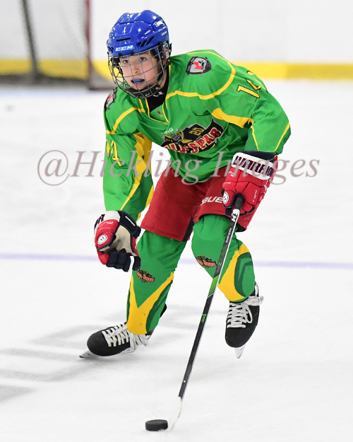 Jackson Tucker - Elite Prospects