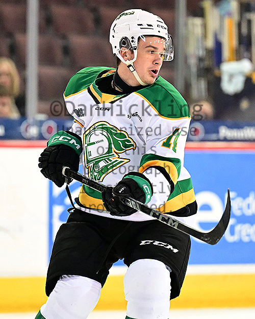 Evan Van Gorp - Stats, Contract, Salary & More