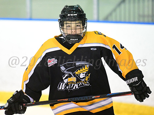 Austin Shepherd - Elite Prospects