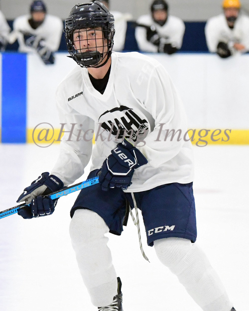 Lucas Barnes - Elite Prospects