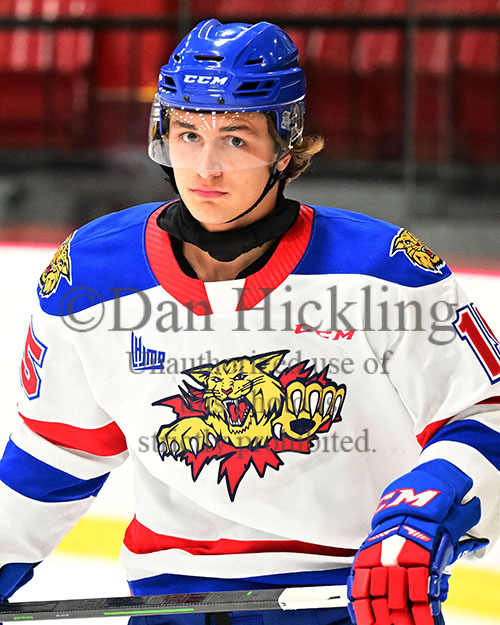 Vincent Légaré - Elite Prospects
