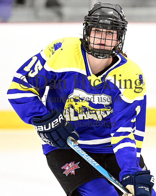 Violet Schachle - Stats, Contract, Salary & More