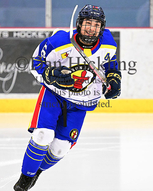 Robert Dion - Stats, Contract, Salary & More