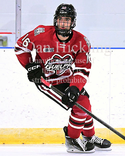 Gavin Grundner - Stats, Contract, Salary & More