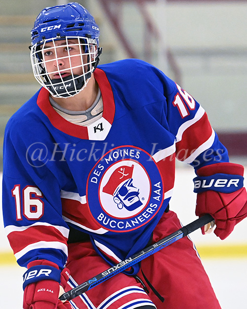 Vince Leaf - Elite Prospects