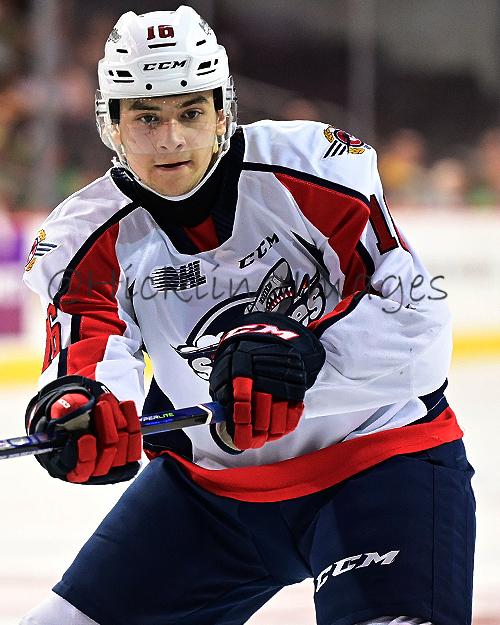 Jacob Maillet - Stats & Facts - Elite Prospects