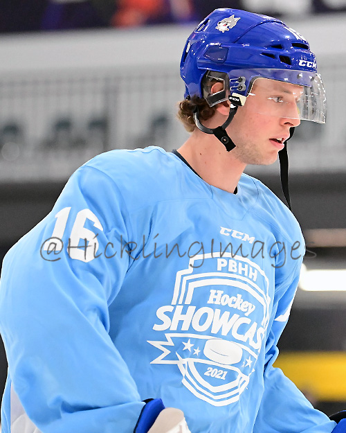 Owen Robinson - Elite Prospects