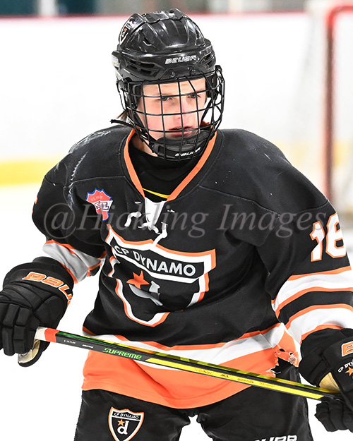 Colton Shaver - Elite Prospects