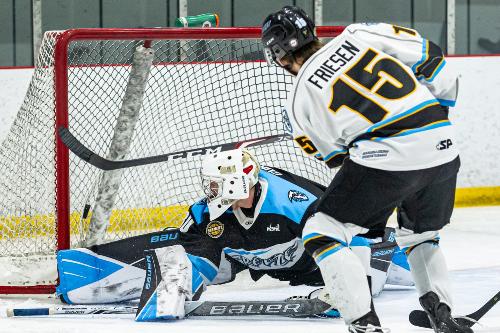 Evan Friesen - Elite Prospects