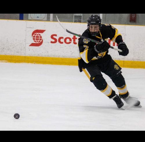 Avery Hammar - Elite Prospects