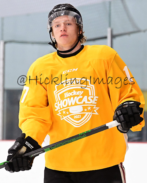 Nolan Forster - Elite Prospects