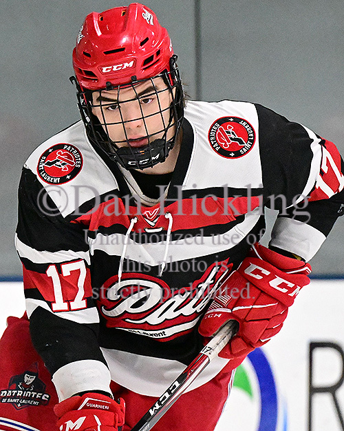 Gianluca Guarnieri - Elite Prospects