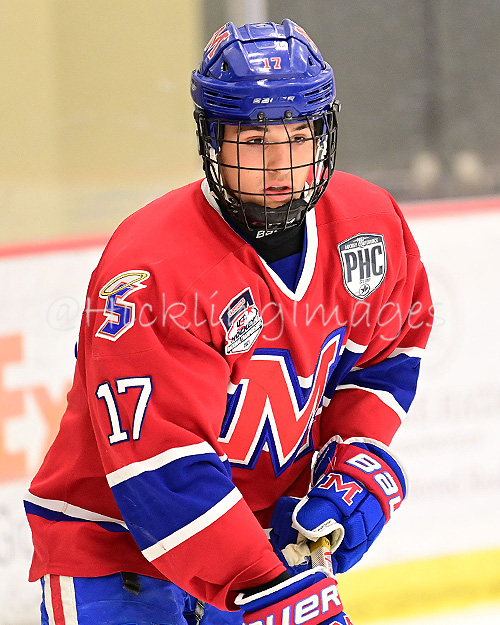 Matt Lewis - Stats & Facts - Elite Prospects