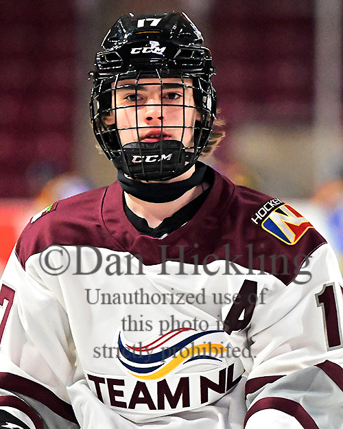 Ty Peddigrew - Elite Prospects