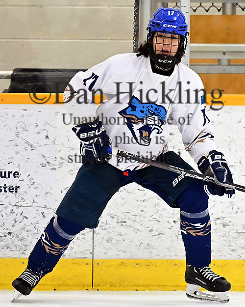 Arman Tolen - Elite Prospects