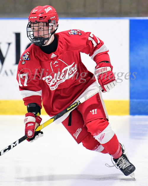 Dylan Young - Elite Prospects