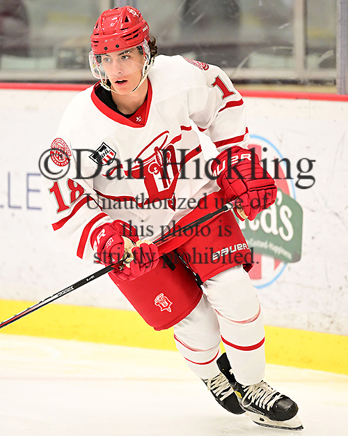 Michael Burchill - Stats & Facts - Elite Prospects