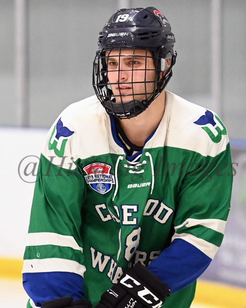 Anthony Cafarelli - Elite Prospects