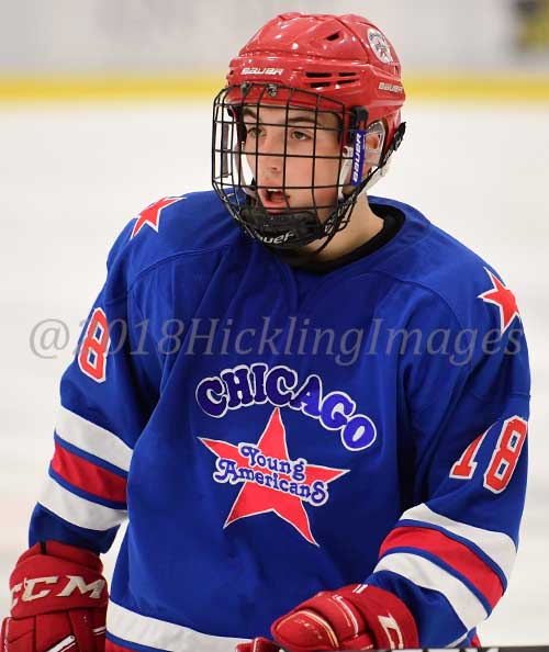 Colin Doherty - Elite Prospects