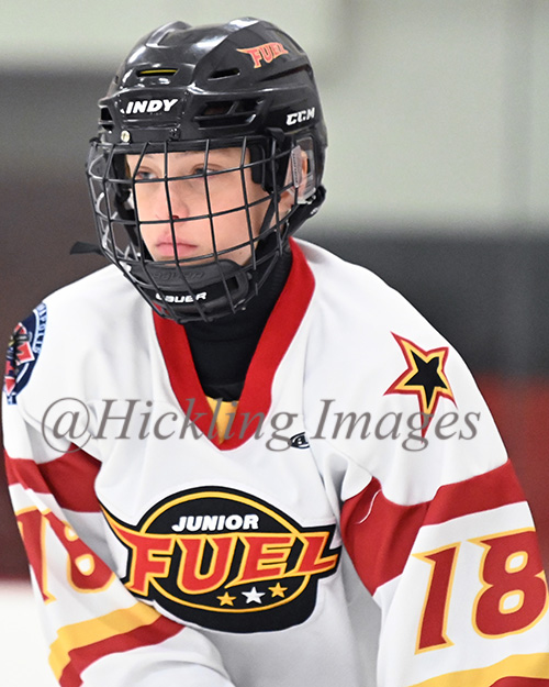 Max Engel - Elite Prospects