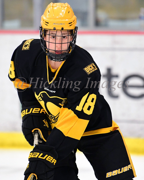 Cameron Herr - Elite Prospects