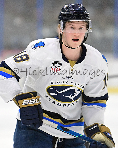 Arlo Merritt - Stats, Contract, Salary & More