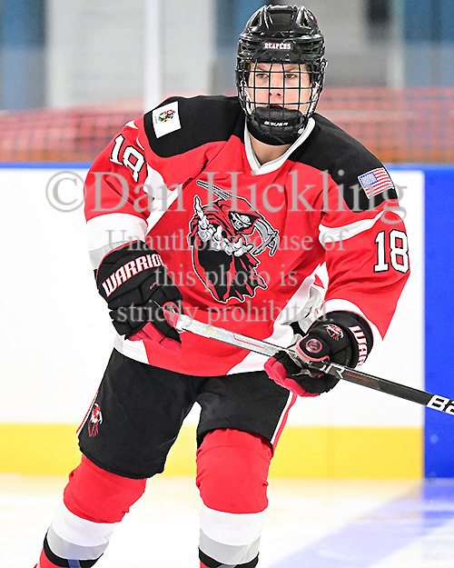 Daniel Mitchell - Elite Prospects