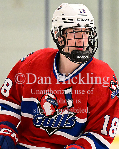 Brandon Remppel - Elite Prospects