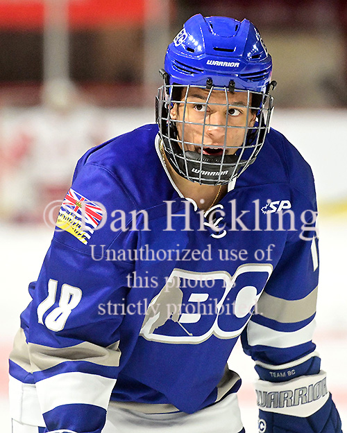 Cameron Schmidt - Elite Prospects