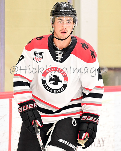 Tucker Shedd - Elite Prospects