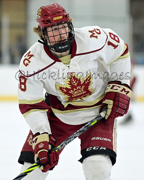 Blake Steenerson - Stats, Contract, Salary & More