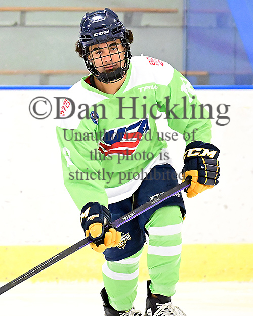 Cameron Stehle - Stats & Facts - Elite Prospects