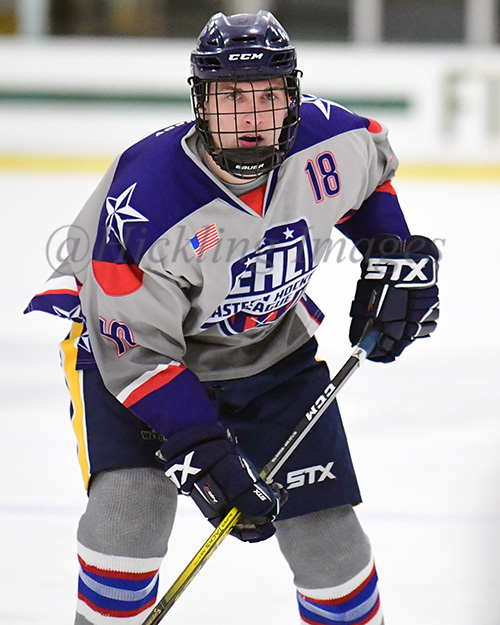 Jack Studley - Elite Prospects