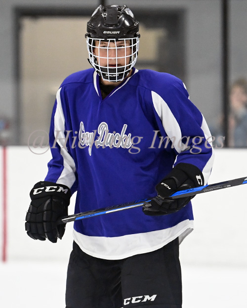 Matt Stuessi - Elite Prospects