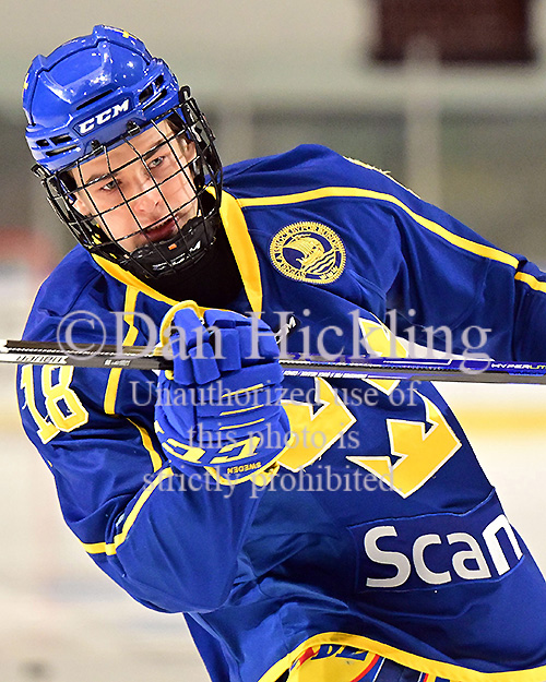 Felix Unger Sörum - Elite Prospects