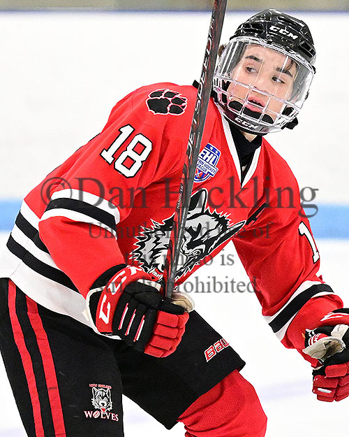 Alex Valentini - Stats, Contract, Salary & More