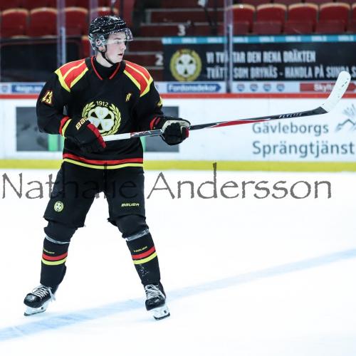 Melwin Larsson - Stats, Contract, Salary & More