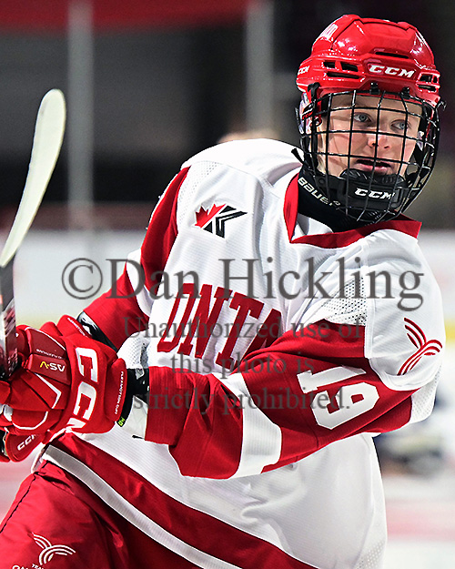 Dryden Allen - Stats & Facts - Elite Prospects