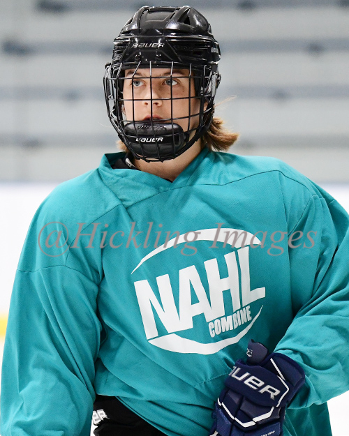 Vincent DiIulio - Stats, Contract, Salary & More