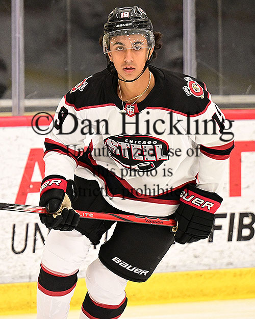 Michael Hage - Stats, Contract, Salary & More