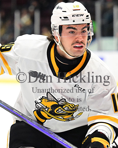 Angus MacDonell - Stats, Contract, Salary & More